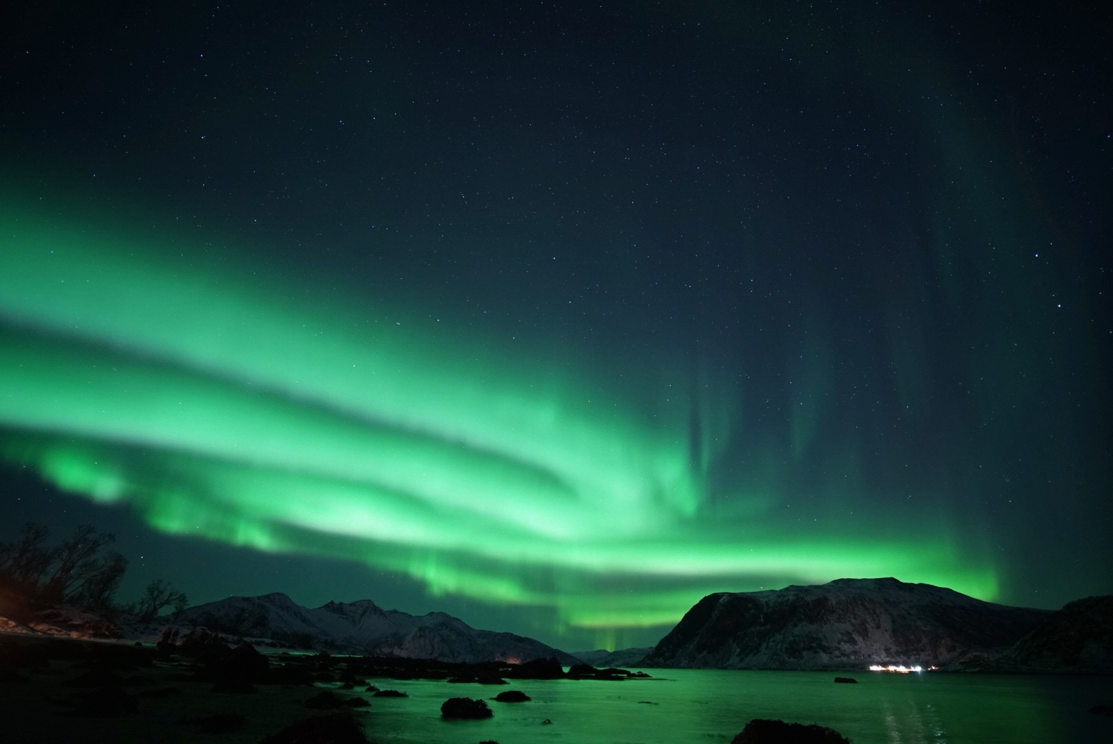 Northern Light chase by boat in Tromsø