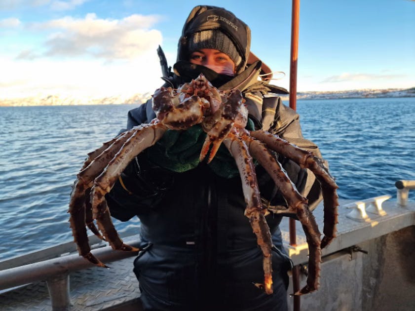 Private tour: King Crab Boat Tour