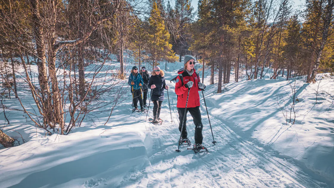 Snowshoeing Adventure to the Enchanting Frozen Waterfall