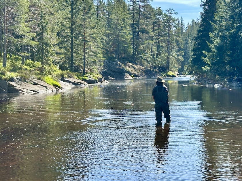 Trout Fishing Experience in Southern Norway