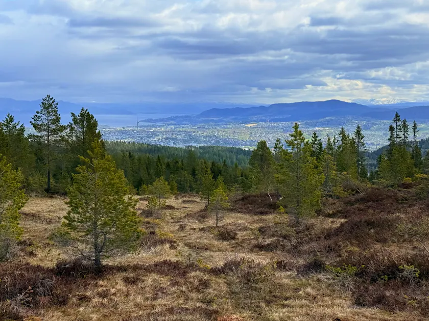 The Bymarka Escape: Hiking Tour in Trondheim