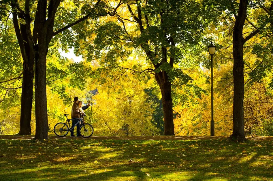 Guided Bike Tour Highlights of Oslo